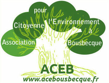 ACEB | ACEBousbecque